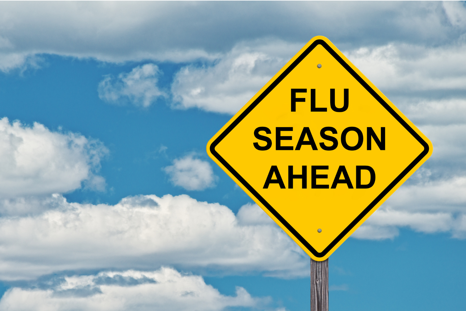 Protect your Employees against the Flu - Sigma Co